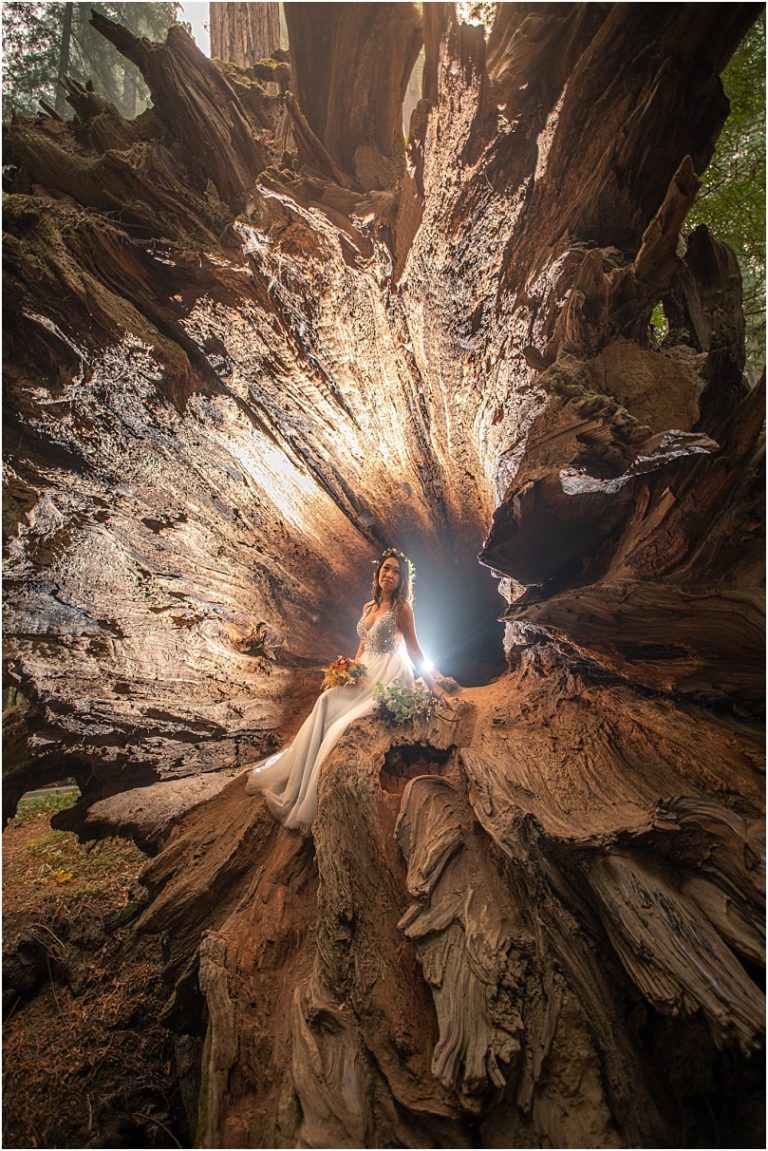 How to add magic to your redwood forest elopement | Parky's Pics ...