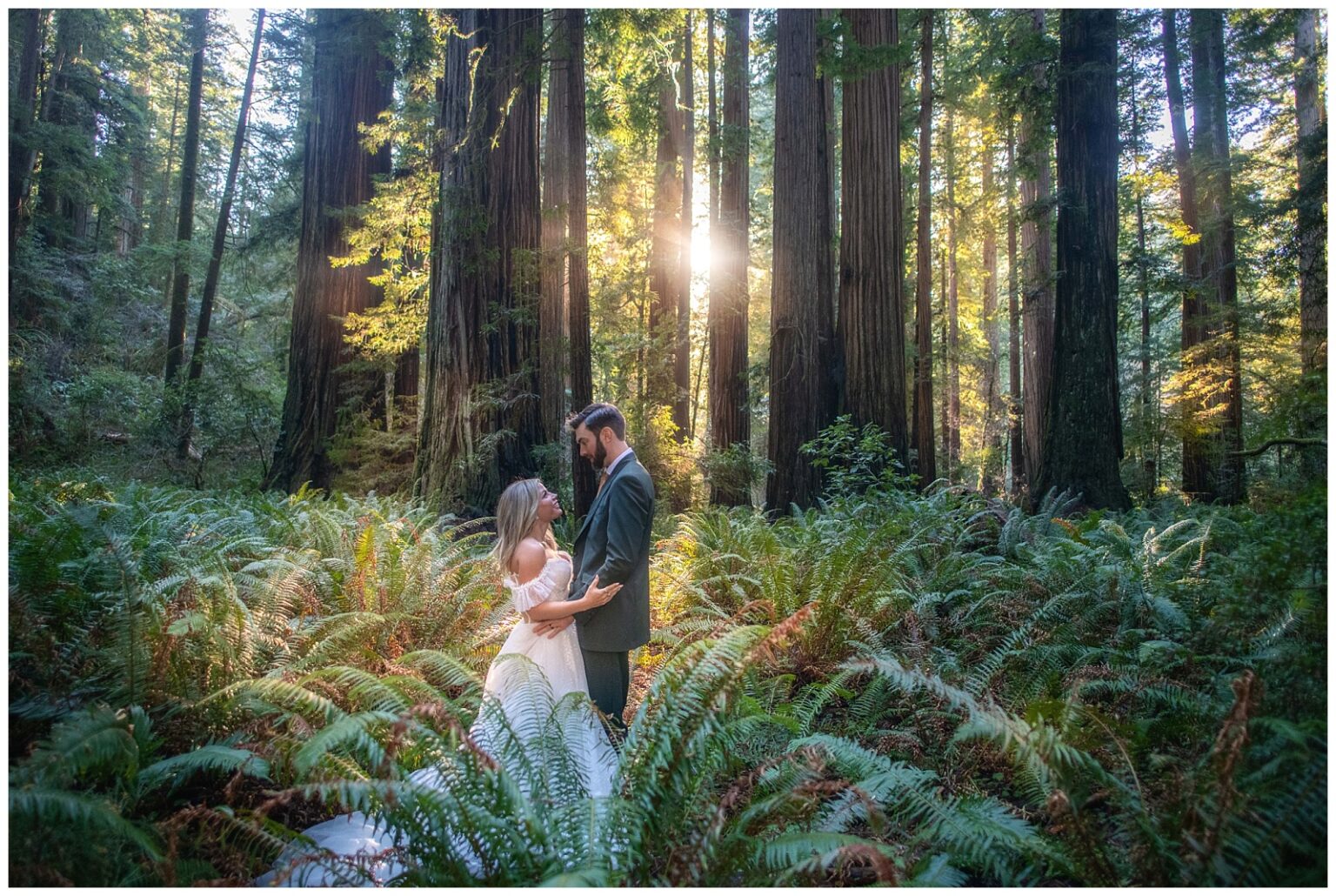 Redwood National Forest Elopement - Parky's Pics Photography
