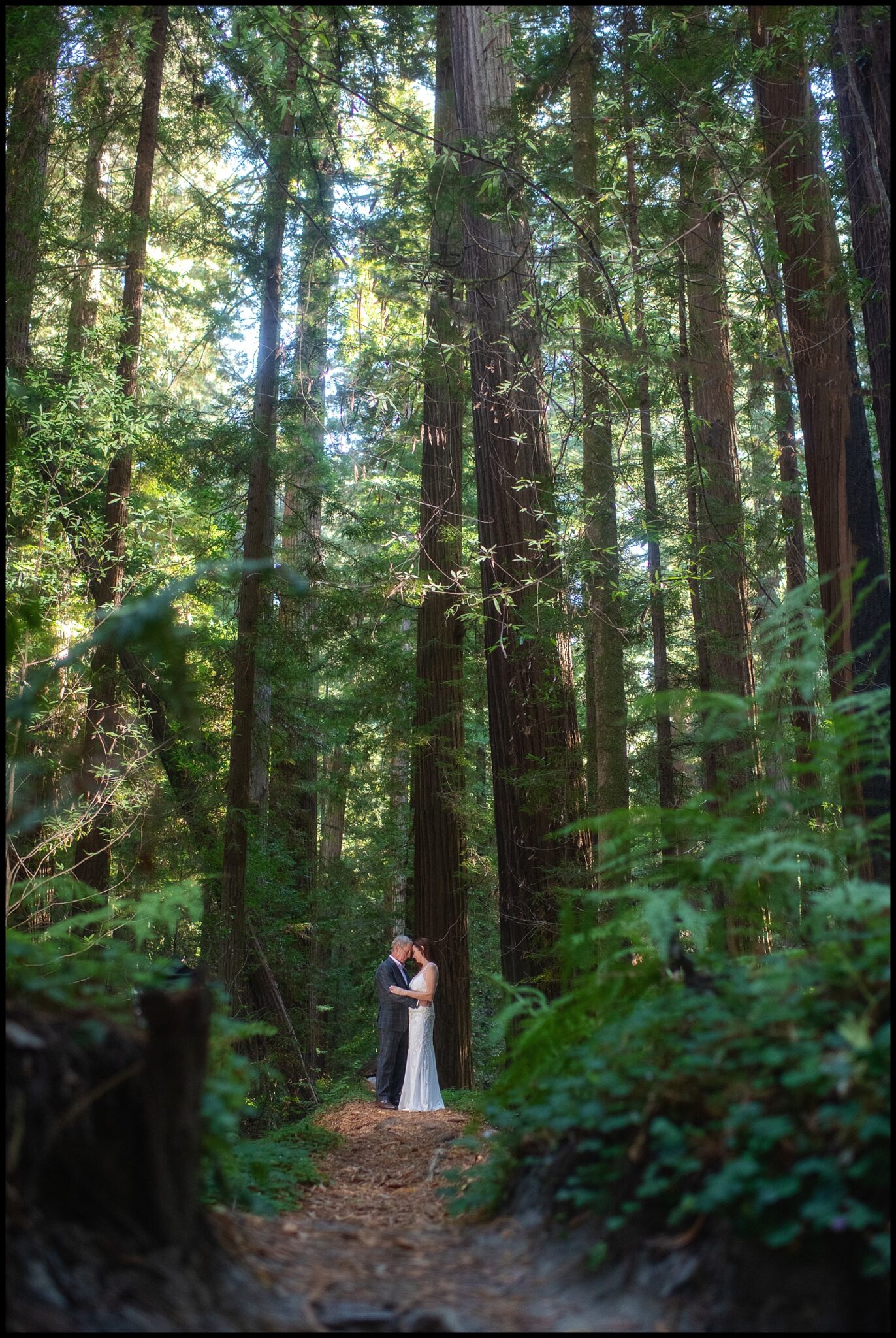 Afternoon Elopement in the Redwoods - Parky's Pics Photography